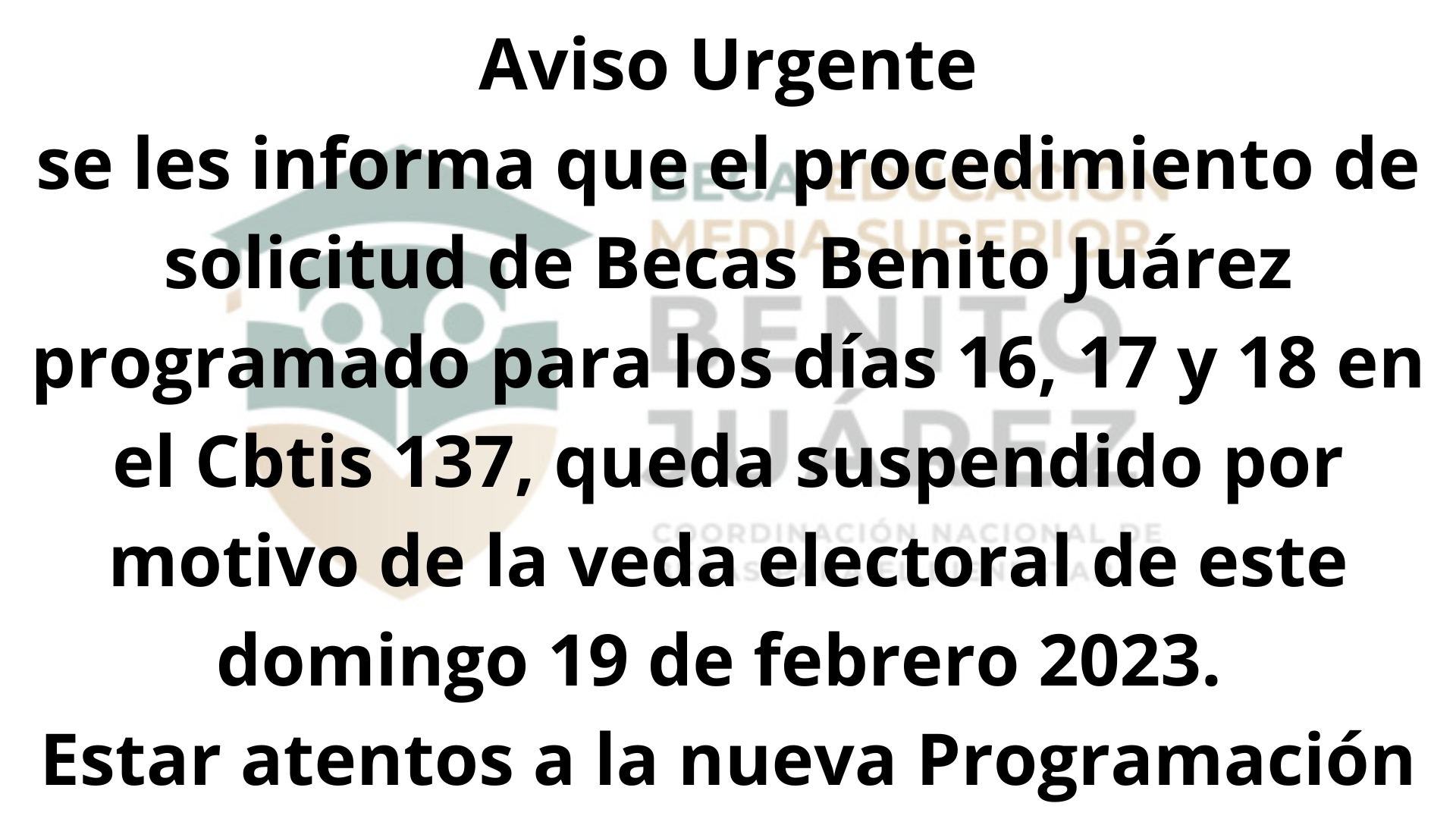 CBTis No. 137 - contenido