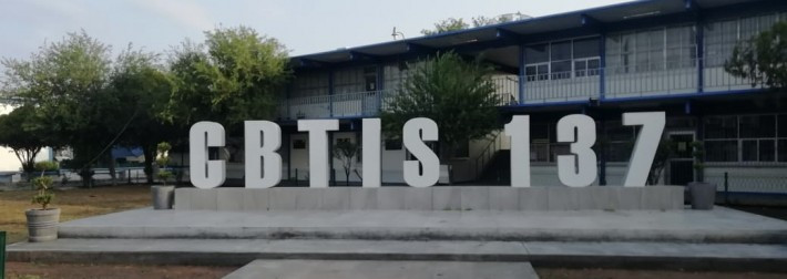 CBTis No. 137 - contenido